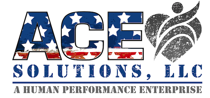 ACE Solutions, LLC | Everything Disc