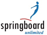 Springboard Unlimited | Everything Disc
